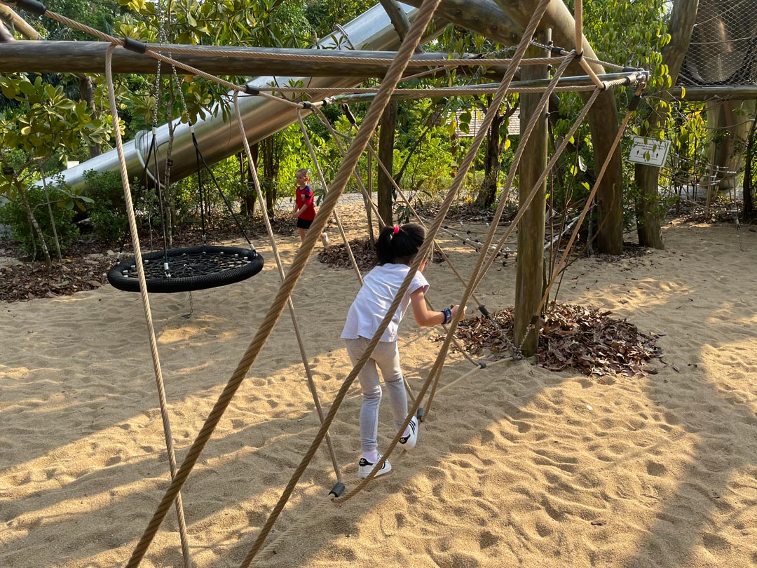 🌳Como Adventure Grove Playground: Singapore Botanic Gardens