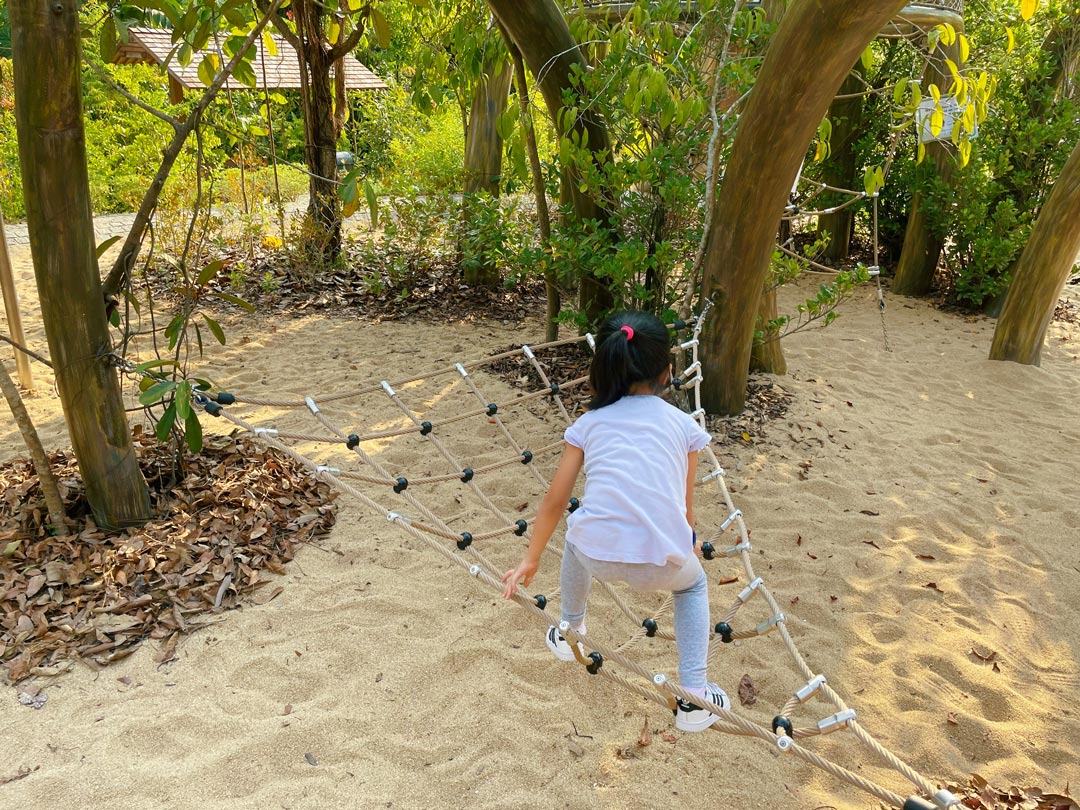 🌳Como Adventure Grove Playground: Singapore Botanic Gardens