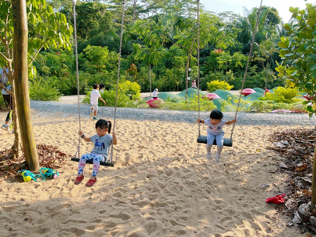 🌳Como Adventure Grove Playground: Singapore Botanic Gardens