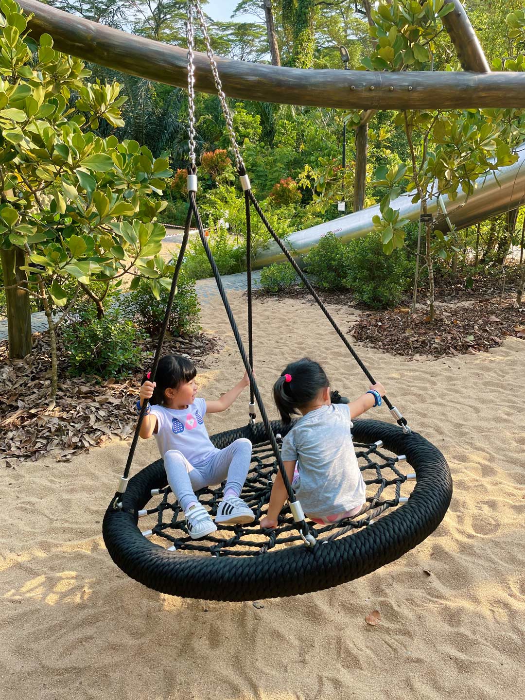 🌳Como Adventure Grove Playground: Singapore Botanic Gardens