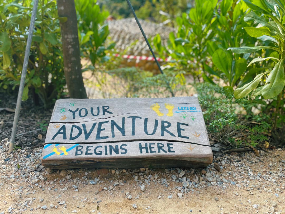 🌳Como Adventure Grove Playground: Singapore Botanic Gardens