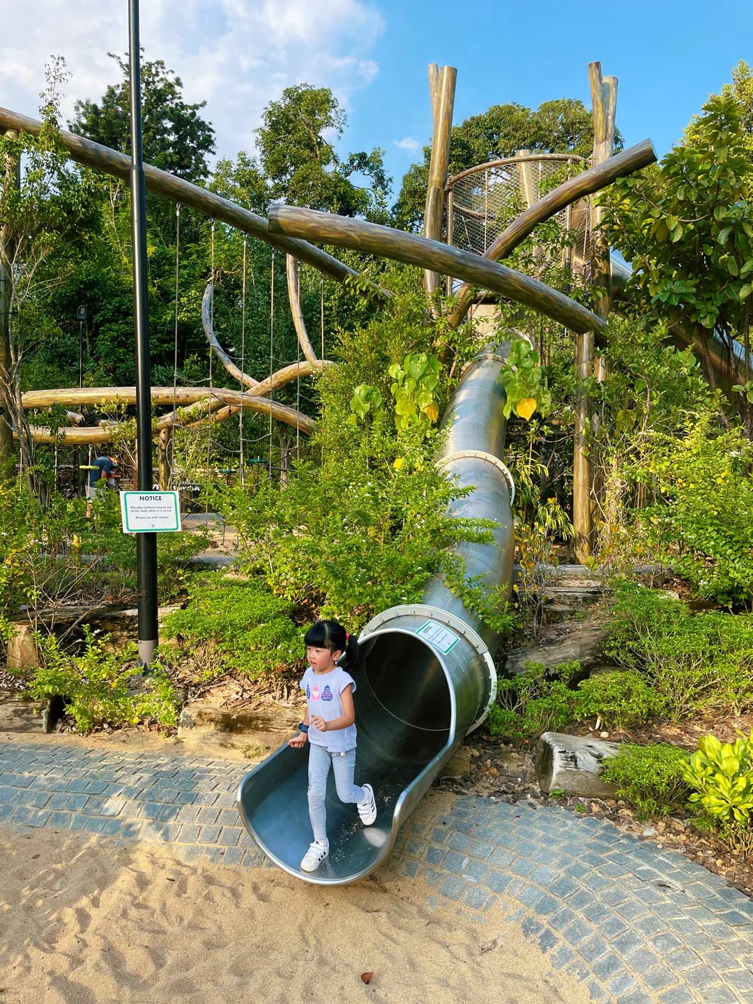 🌳Como Adventure Grove Playground: Singapore Botanic Gardens