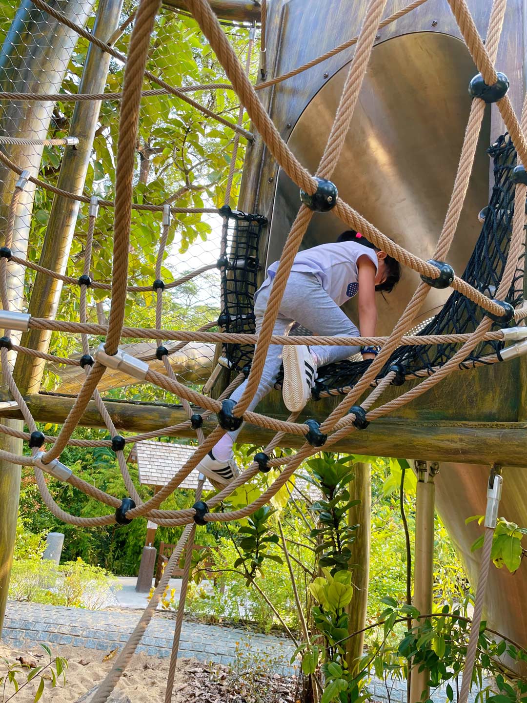 🌳Como Adventure Grove Playground: Singapore Botanic Gardens