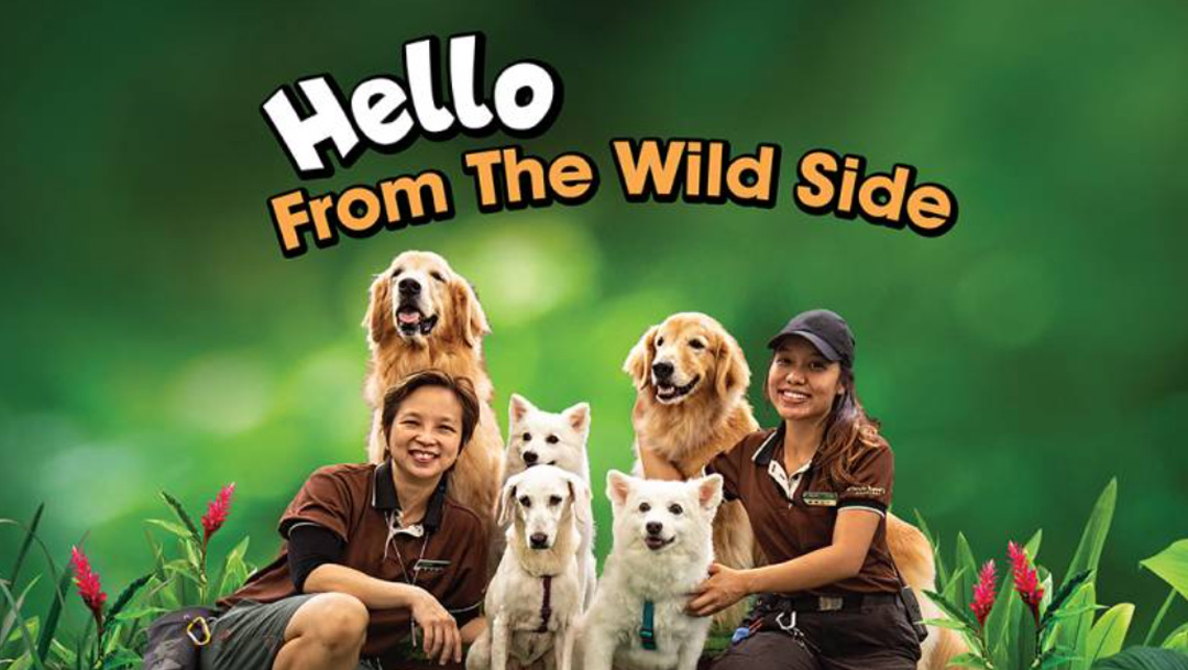 31 things to do at home with kids in Singapore