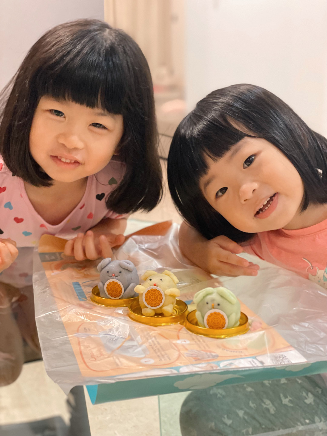 Make your own Moon Bunnies Snowskin Mooncakes with this DIY Kit