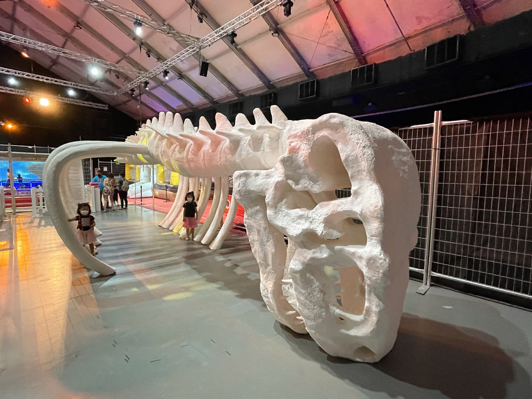 Jurassic Dinosaur Adventure Park Interactive Indoor Playground at ...