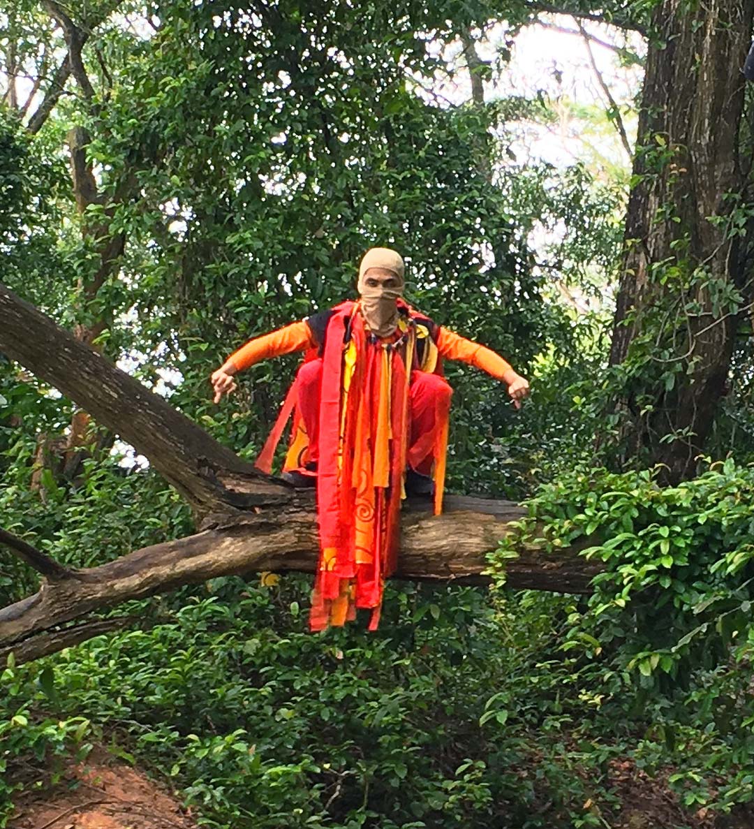 Remember Rainforest - A Young People Environmental Dance-Theatre Production