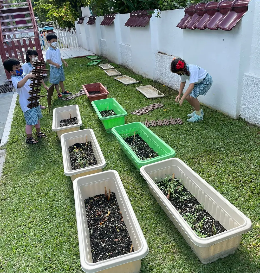 Best Preschools and Kindergartens in Singapore 2024