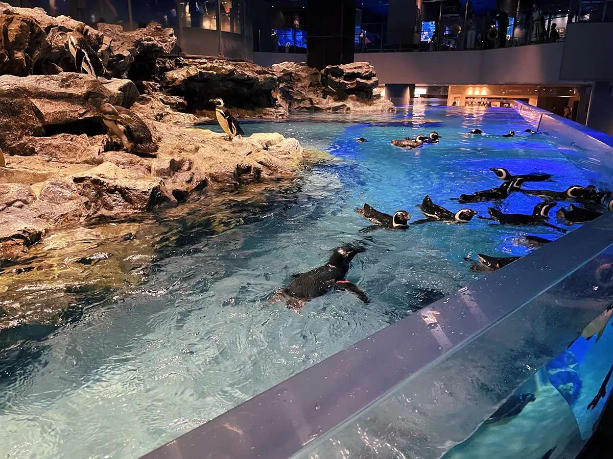 21 best things to do in Tokyo with Kids
