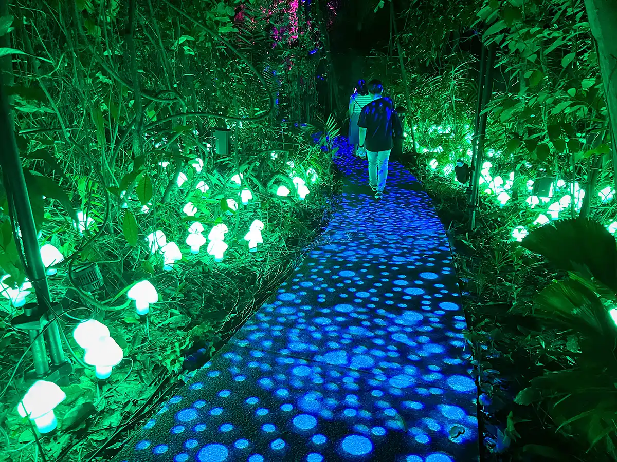 Harry Potter: A Forbidden Forest Experience - What you can expect at ...
