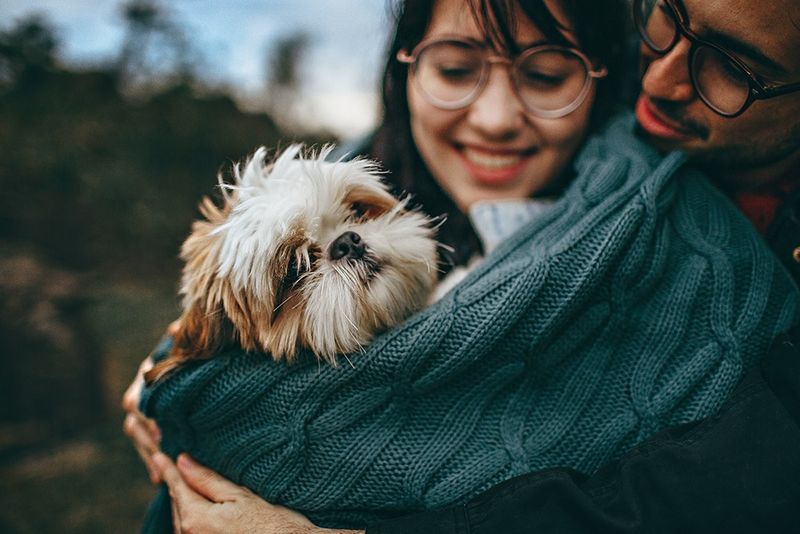 How To Help Your Foster Dog Feel Like Family Kabo how-to-help-your-foster-dog-feel-like-family-kabo