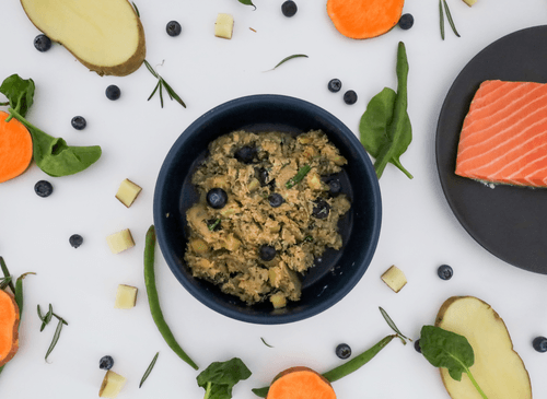 Turkey & Salmon Kibble Dog Food I Kabo I Kabo