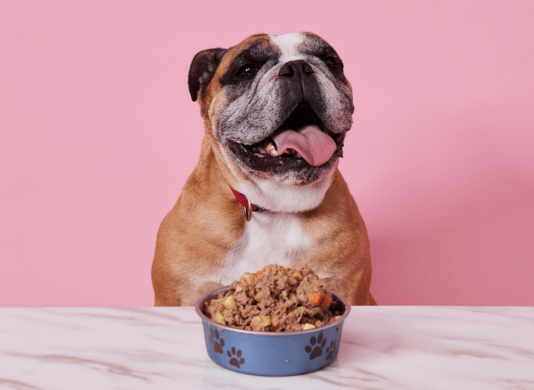 Beef Dog Food I Kabo I Kabo