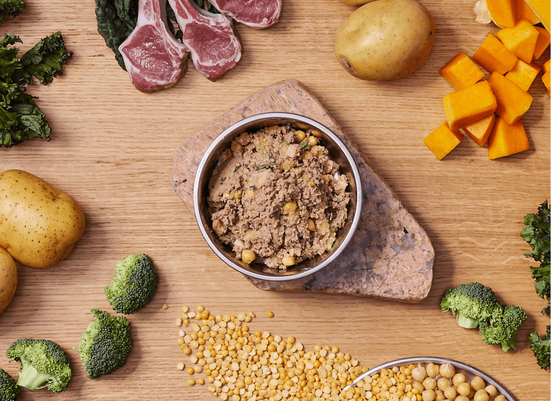 Chicken Dog Food Recipe I Kabo I Kabo