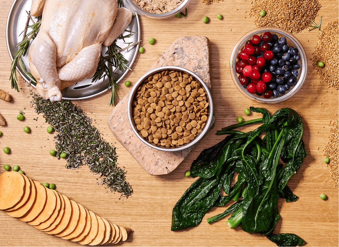 Chicken Kibble Dog Food I Kabo I Kabo