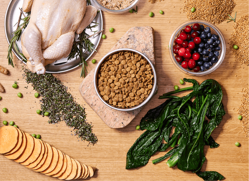 Chicken Kibble Dog Food I Kabo I Kabo