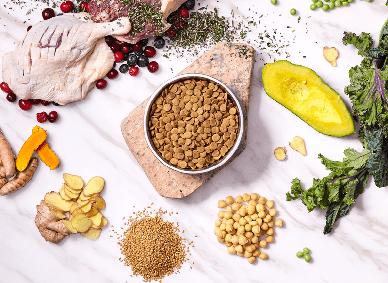 Chicken Kibble Dog Food I Kabo I Kabo