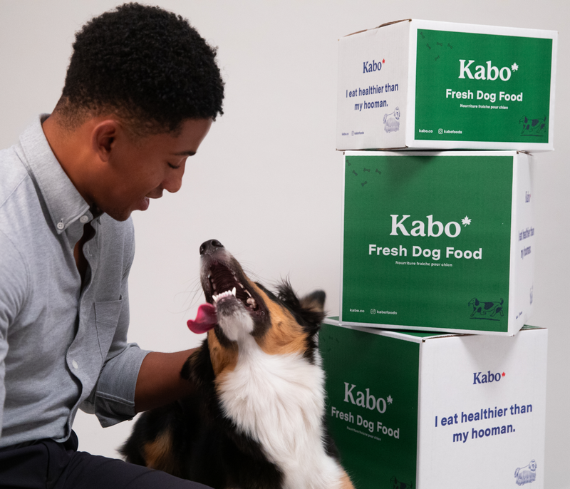 Careers at Kabo Fresh Dog Food