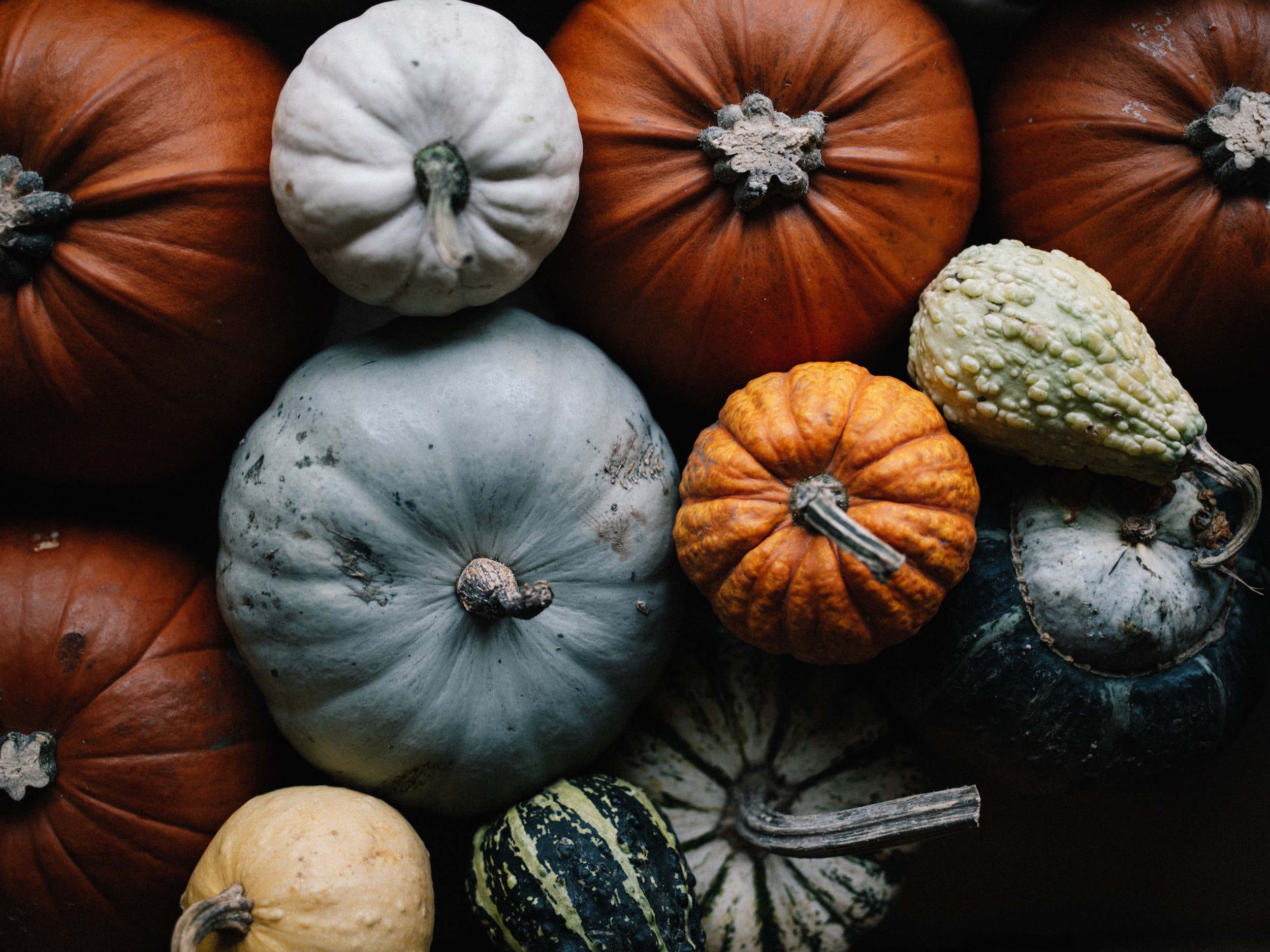 Your Guide to the Best Fall Farmers' Market Finds | About Town