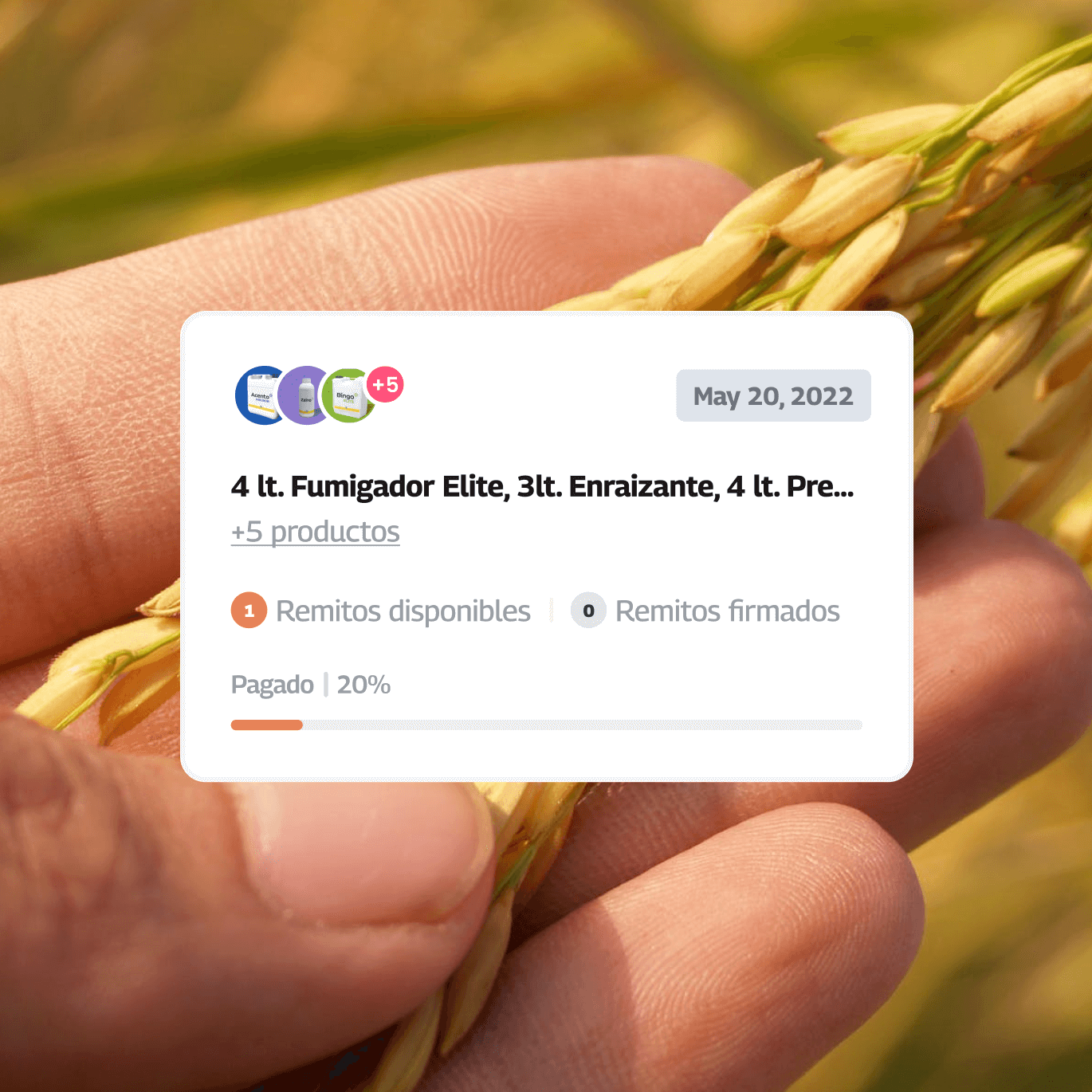 Surcos case study | Paisanos