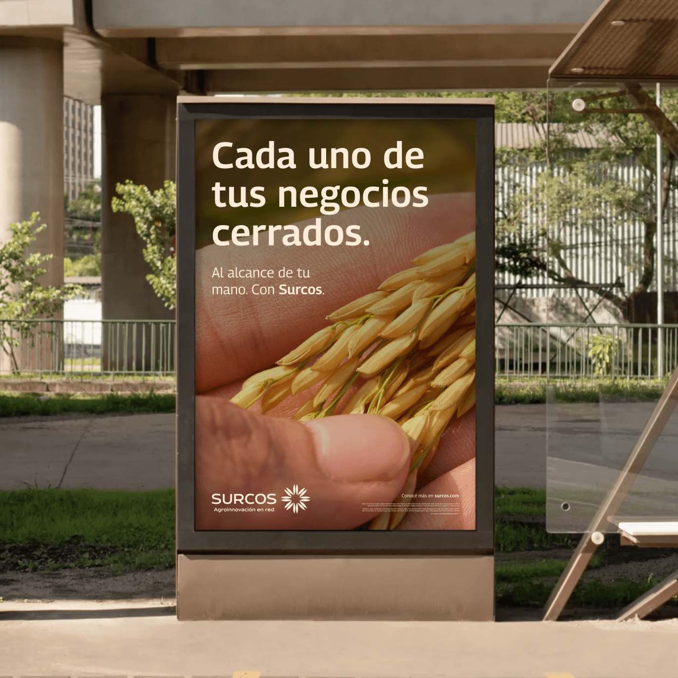 Surcos case study | Paisanos