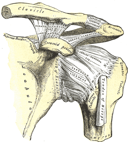 Acromioplasty - Shoulder Clinic
