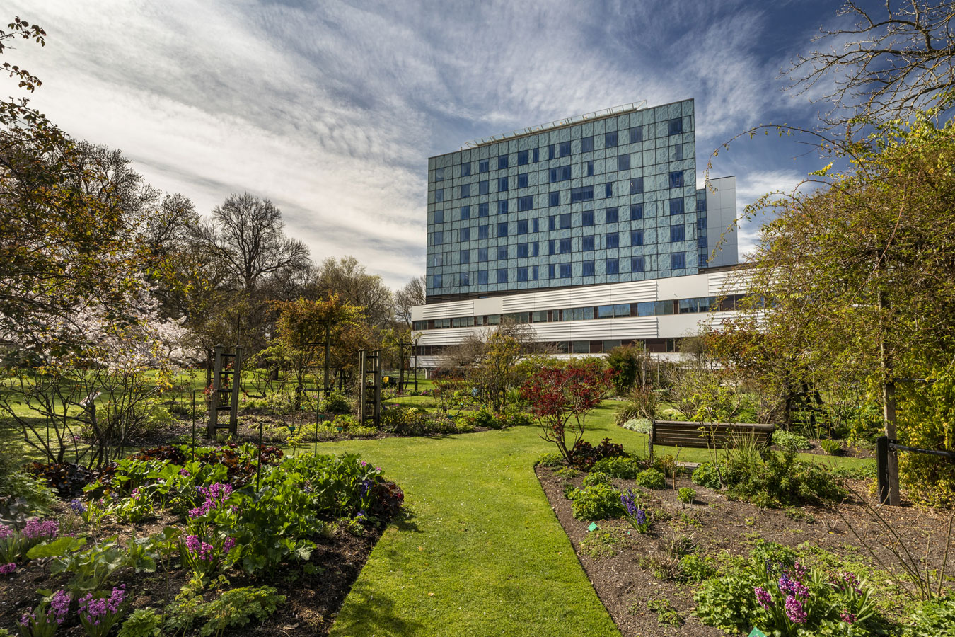 Christchurch Hospital Waipapa | Health