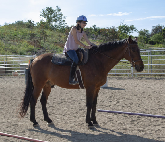 Therapeutic Riding Center of Huntington Beach