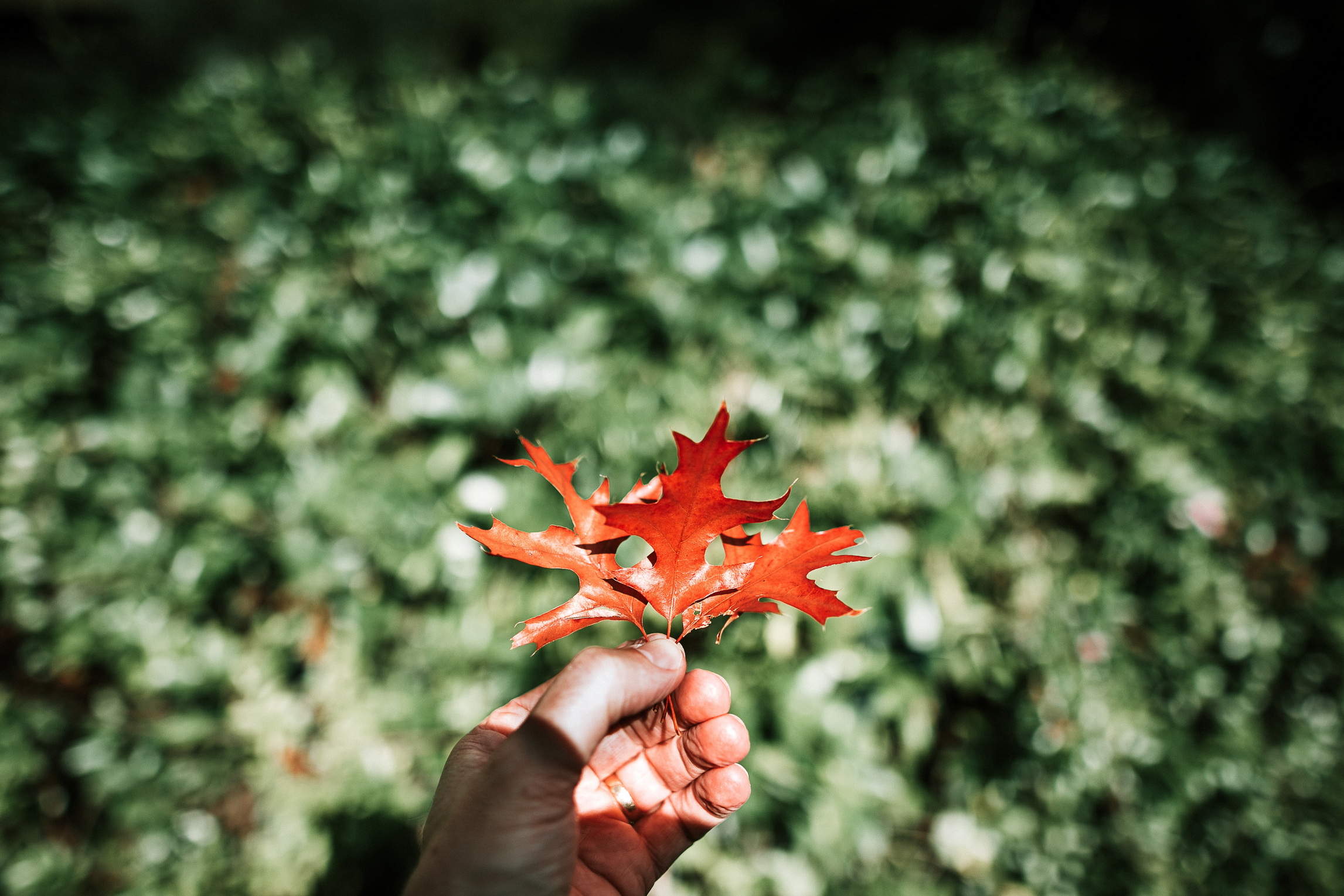 Gospel Conversations