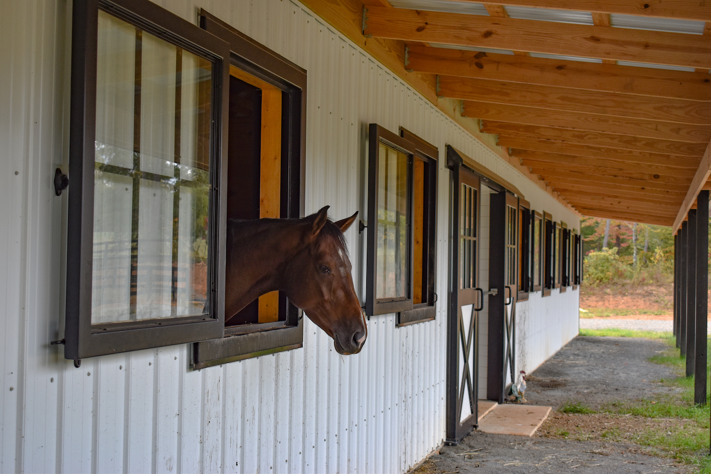 12-Stall Stable in Barboursville, VA (EDM22010) - Superior Buildings
