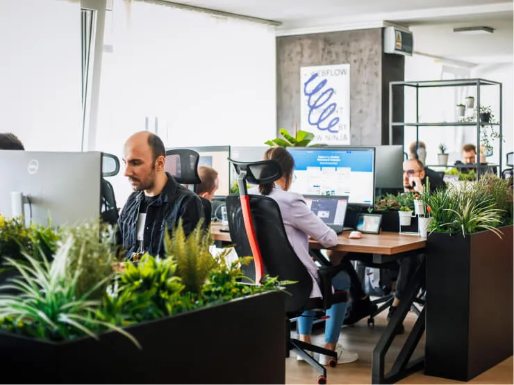 About Us | Flow Ninja