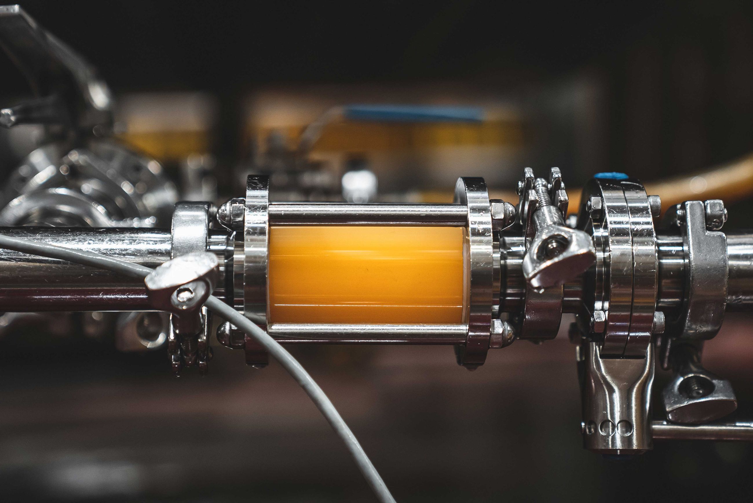 Lupulin Brewing | About Us