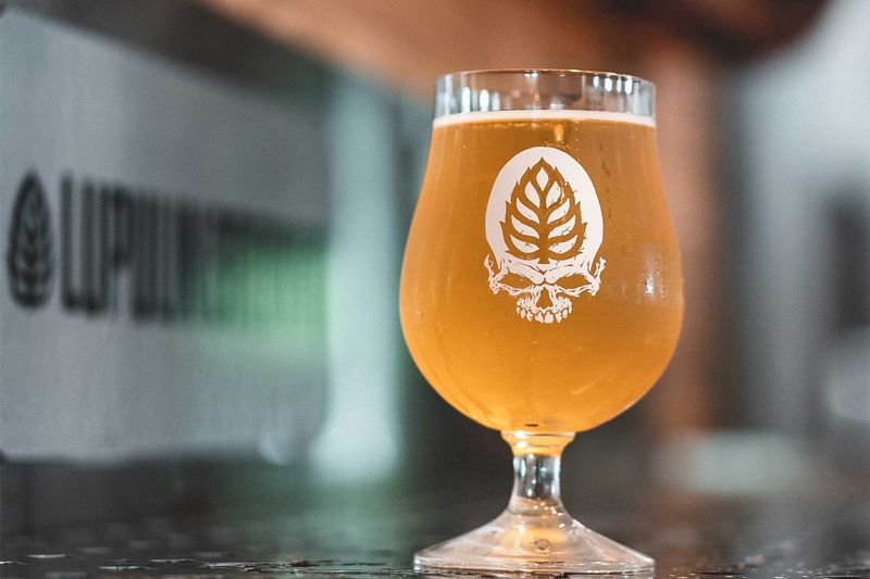 Lupulin Brewing | Sioux Falls Taproom