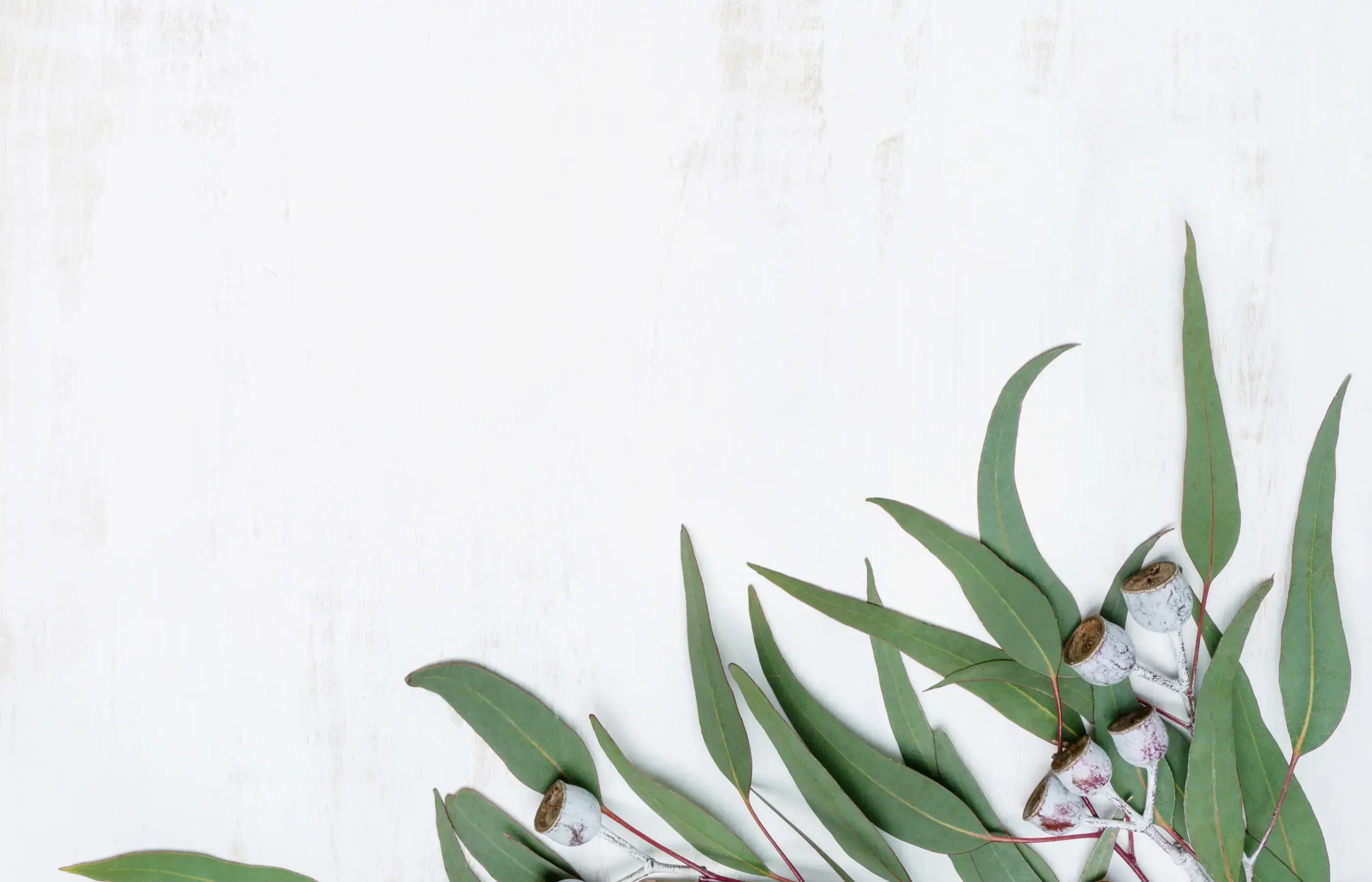 Unforgettable corporate dining with Indigenous catering | EatFirst