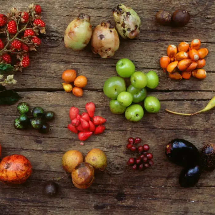 Unforgettable corporate dining with Indigenous catering | EatFirst