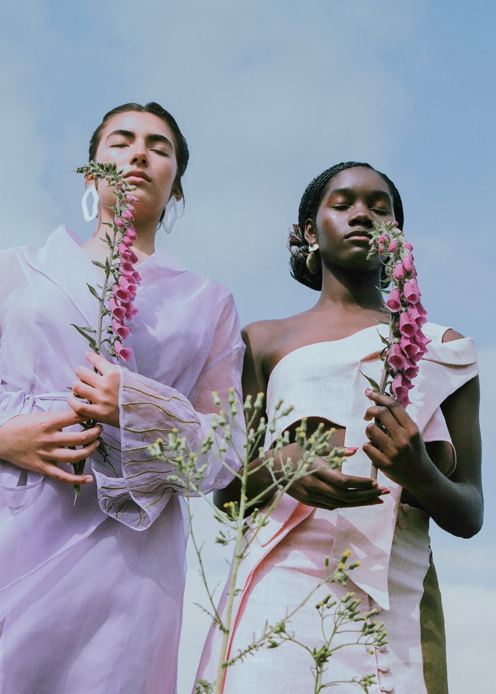 Timid Magazine | Miao