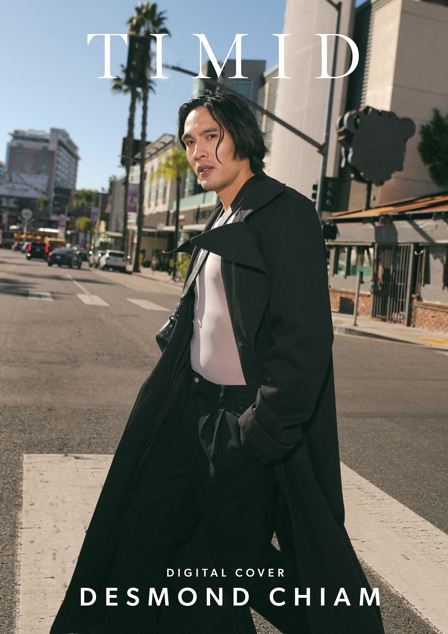 Timid Magazine | Desmond Chiam