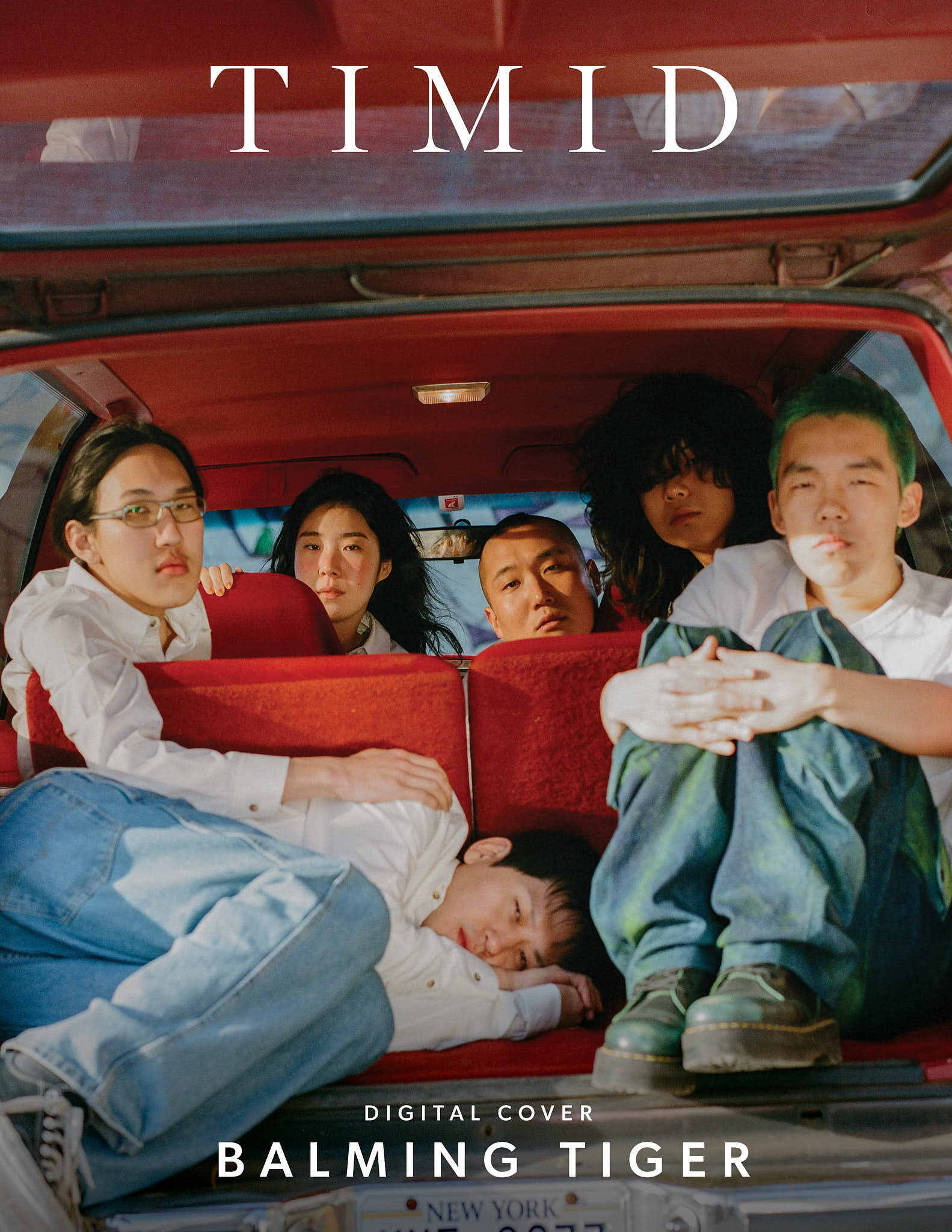 Timid Magazine | Balming Tiger