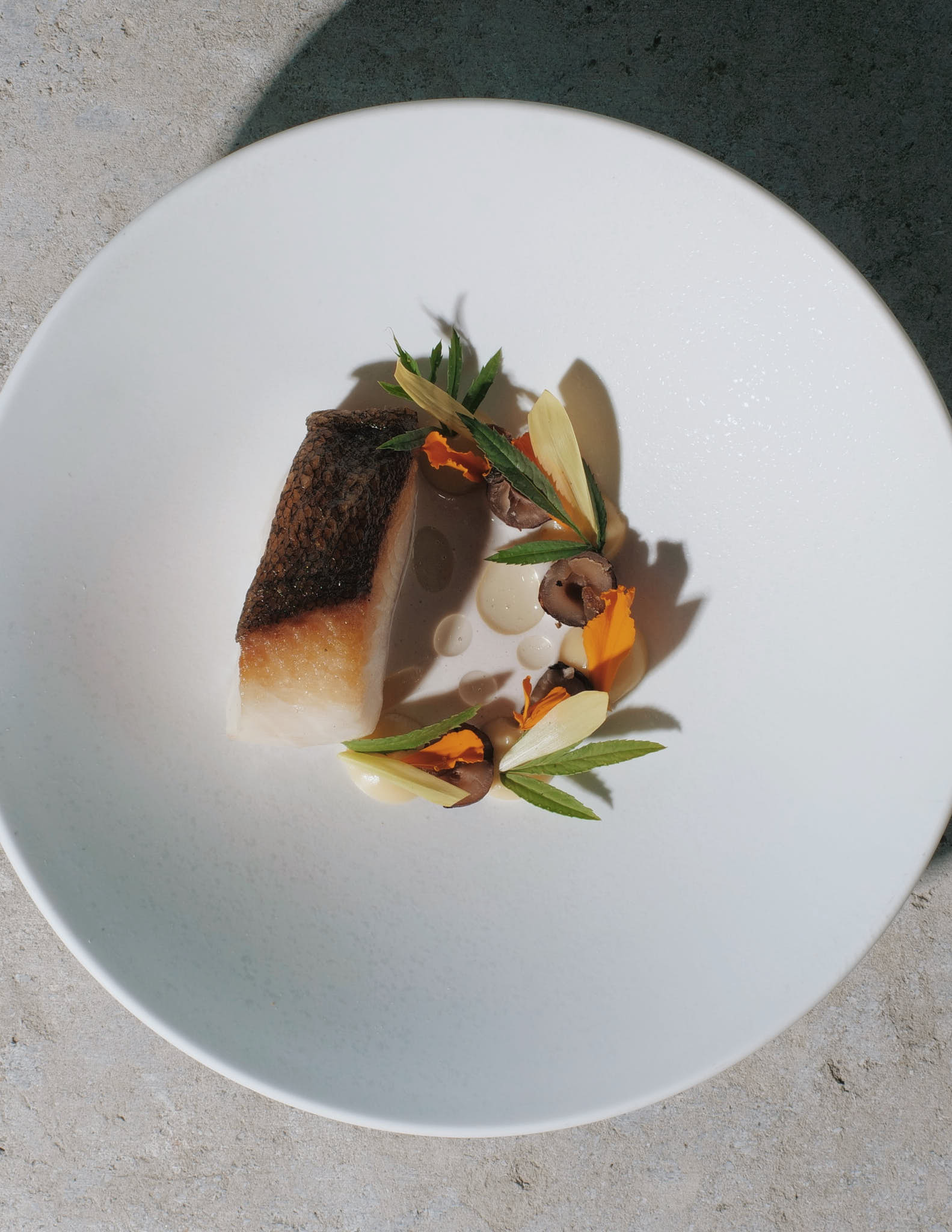 Timid Magazine | Canlis: Aisha Ibrahim