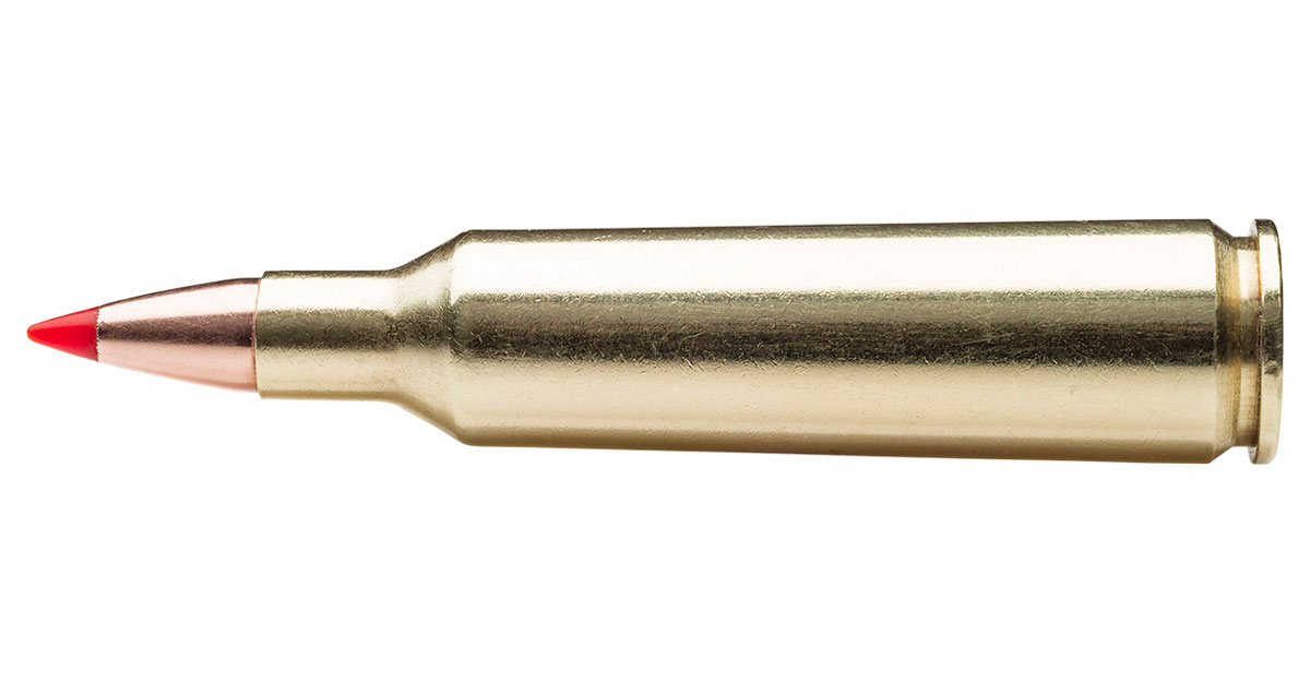 Black Hills .22-250 36gr Barnes Varmint Grenade | Gun Talk