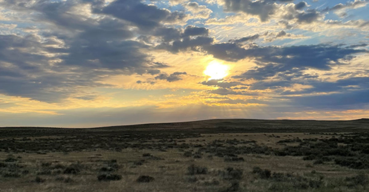 No Goat? No Problem. | Gun Talk Media