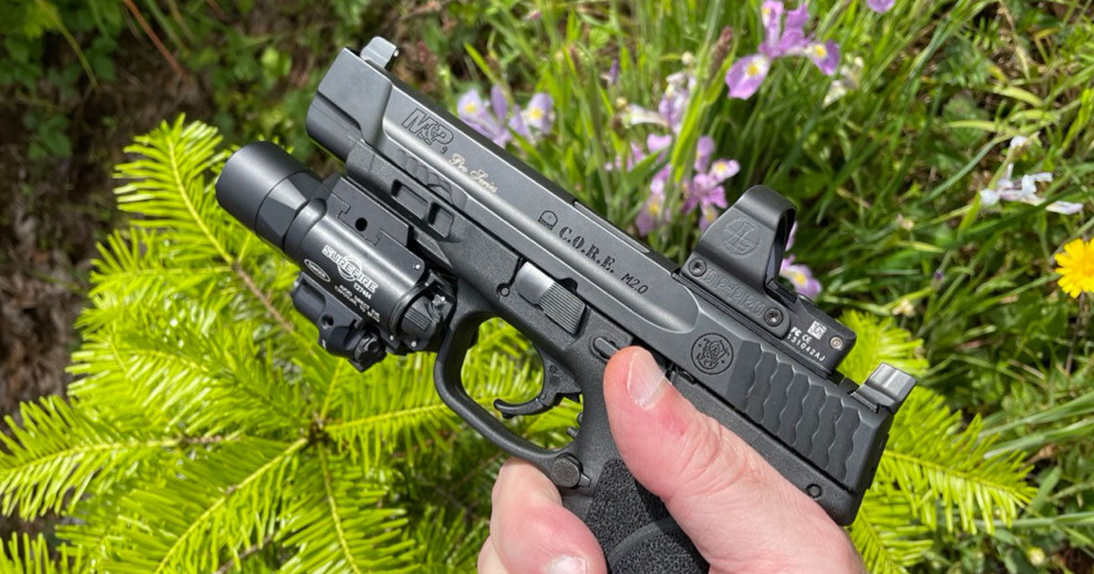 Leupold DeltaPoint Pro: 'Just-Right-Bright'