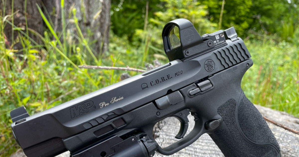 Leupold DeltaPoint Pro: 'Just-Right-Bright'