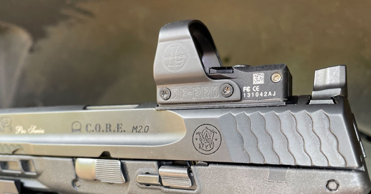 Leupold DeltaPoint Pro: 'Just-Right-Bright'