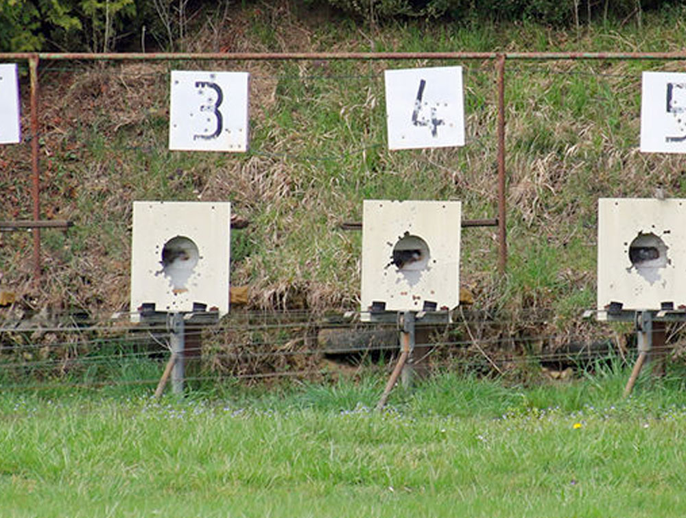 Project Appleseed & Natural Point of Aim | Gun Talk News