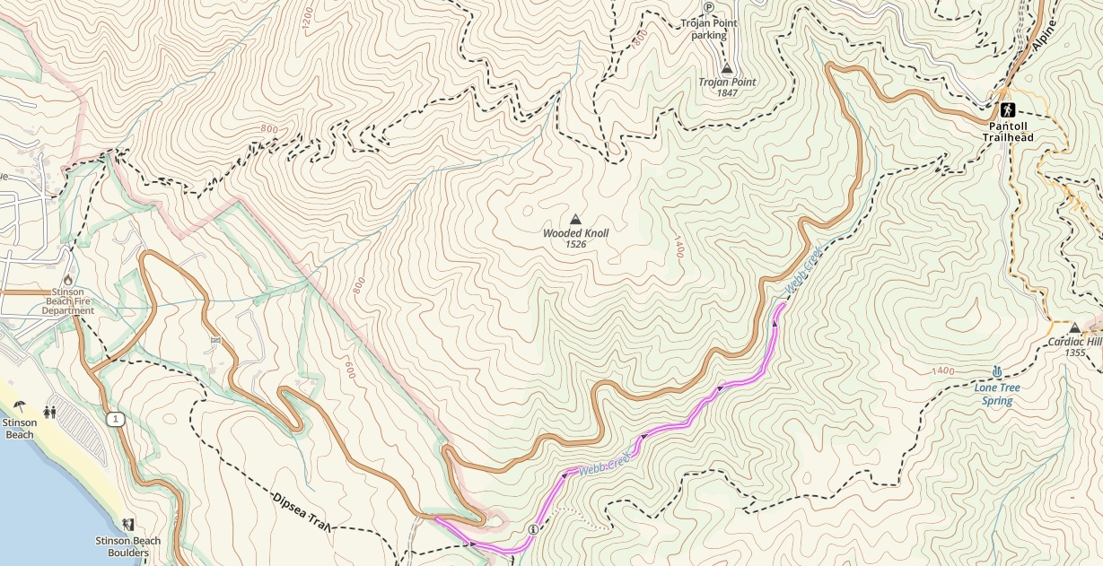 Steep Ravine Trail Hike
