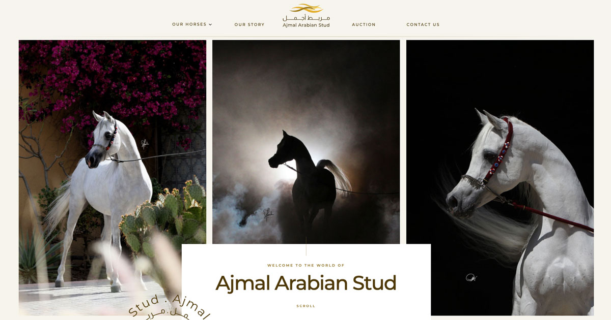 Ajmal Arabian Stud