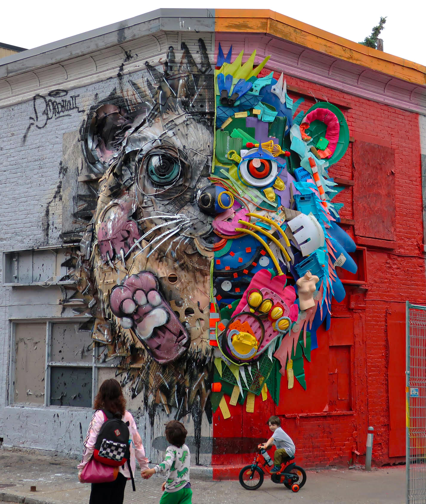 Bordalo II