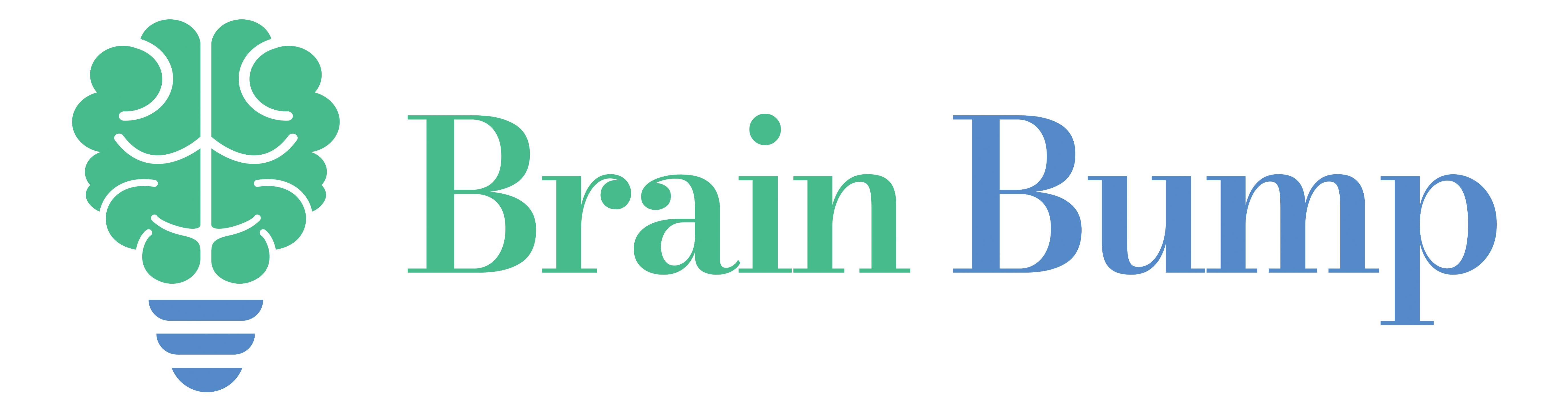 Brain Bump Instructions