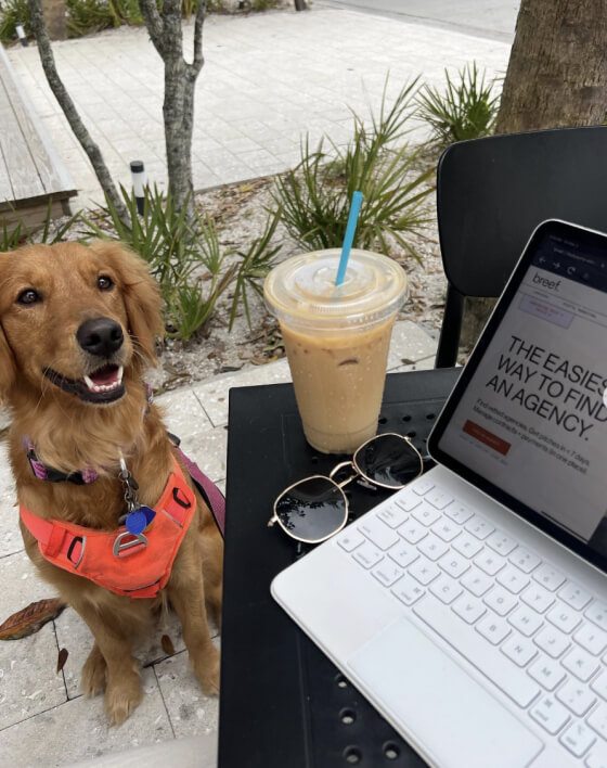 breef. | About | Agency Outsourcing